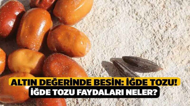 Altın Değerinde Besin: İğde Tozu! İğde Tozu Faydaları Neler? - Denizli ...