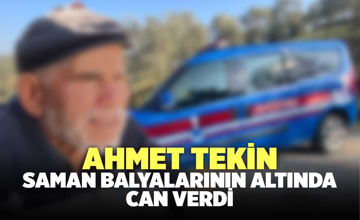 Ahmet Tekin Saman Balyalarının Altında Can Verdi - Denizli Haber ...
