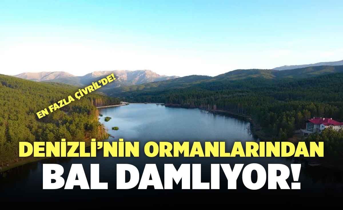 Denizli’nin Ormanlarından Bal Damlıyor! - Denizli Haber ... Denizli’nin Ormanlarından Bal Damlıyor! - Denizli Haber ...